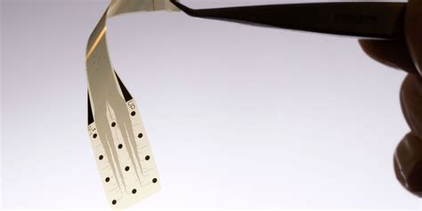 New Brain Computer Interface Uses Graphene Ieee Spectrum