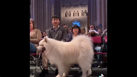 week 10 part 1 youtube