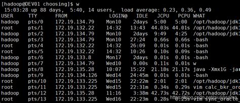 linux查看登录ip以及所做操作 linux查询ip历史操作 csdn博客