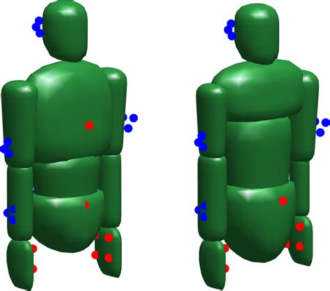 modelfactory a matlab octave based toolbox to create human body models