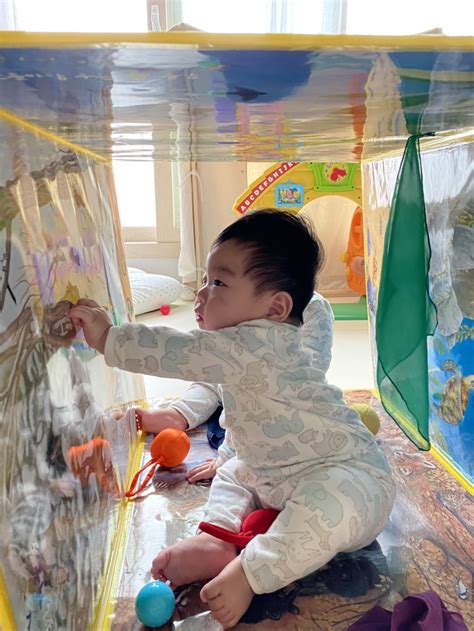 8개월 놀이 병풍 터널 놀이