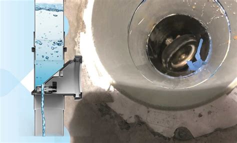 Plug Into Knowledge Understanding How Test Plugs Work