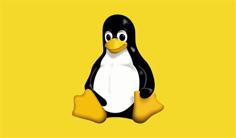 From Humble Beginnings To Digital Dominance A Story Of Collaboration