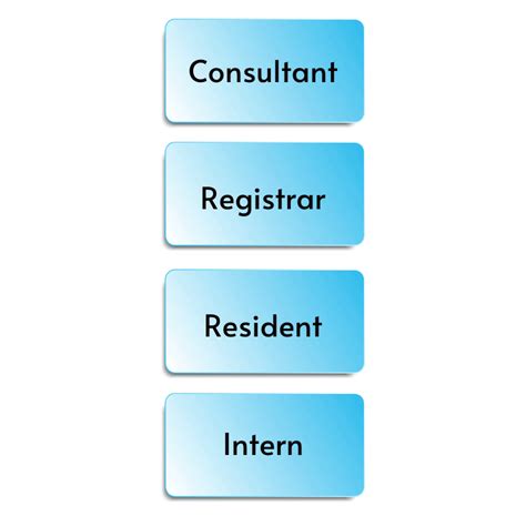 Doctor Hierarchy Australia Intern Resident Registrar 2023