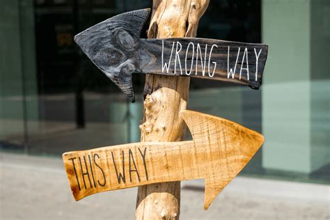 A Vida é Feita De Escolhas 50cinquentando