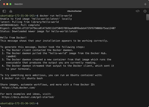 Install Docker On Ubuntu From Setup To First Container DataCamp