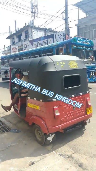 ලශ්මි ට්‍රැවල්ස් 😍 Ashmitha Bus Kingdom Bus බස් Trending Shortvideo Shorts Slbus