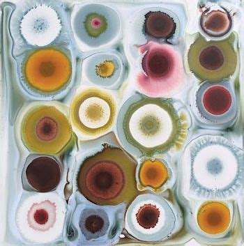 33 Growth And Decay Artists Ideas Growth And Decay Art Inspiration Art