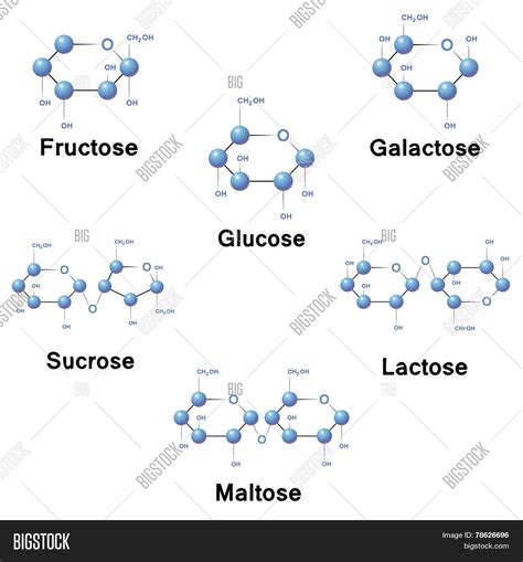 Sugar Molecular Structure