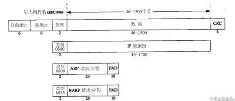 数据链路层 小丞前端日记