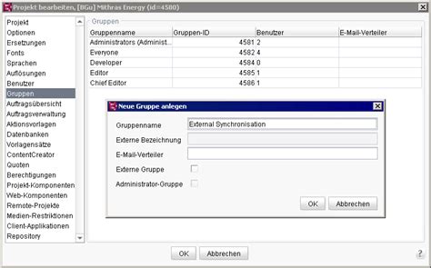 Firstspirit V51 Online Documentation External Synchronization