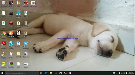 How To Use Bulletedlist Control In Aspnet Youtube