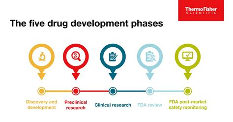 The 5 Drug Development Phases Patheon Pharma Services