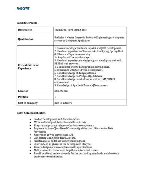 profile of team lead java springboot pdf