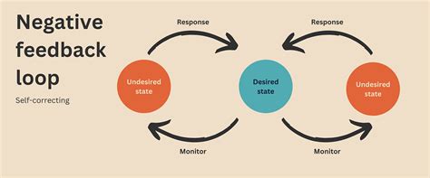 Negative Feedback Loop Diagram Negative Feedback Loop With Delay