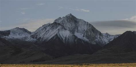 ServiceNow Version Timeline Snowycode