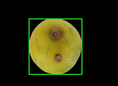 Python Crop Segmented Fruit Inside A Box To Get His Diameter In Pixels Stack Overflow