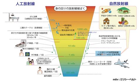 環境省 放射線による健康影響等に関するポータルサイト ⑥ 身の回りでの被ばく線量の比較