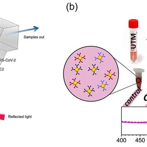 A Schematic Diagram Of A Near Infrared Surface Plasmon Reference Nir Download Scientific