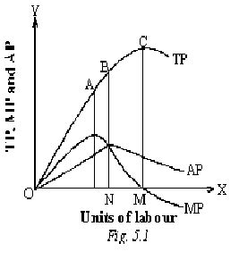 Learn Economics And Economic Analysis The Meaning Of The Production Function Total Production