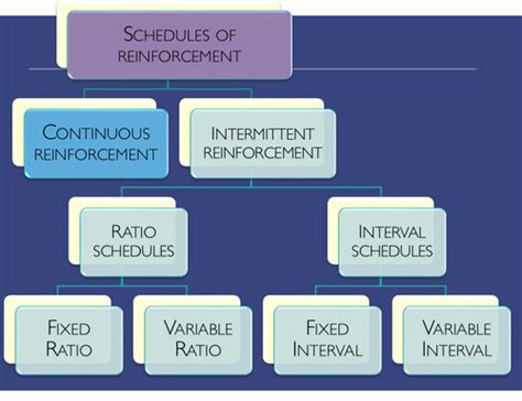 Reinforcement Schedules Flashcards Quizlet