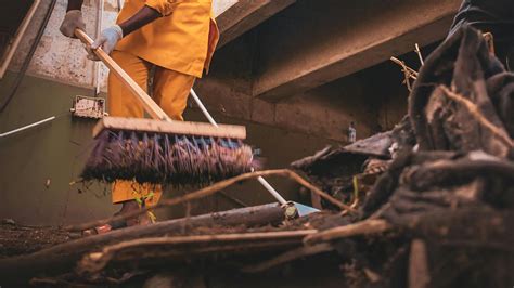 What Is The Migrating Motor Complex