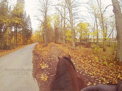 Lovely Autumn Ride 🍂 Tumbex