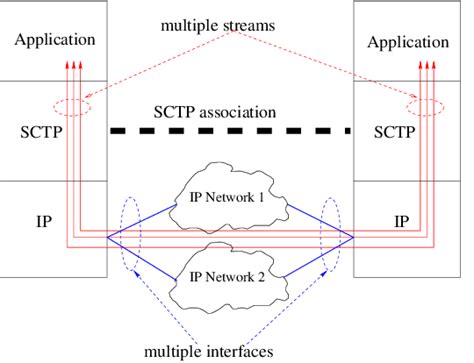 Schematic View Of An SCTP Association Download Scientific Diagram