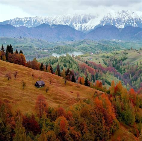 Moeciu Brasov County Romania Reurope