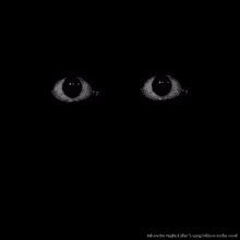 Jump Scare Gif Icegif