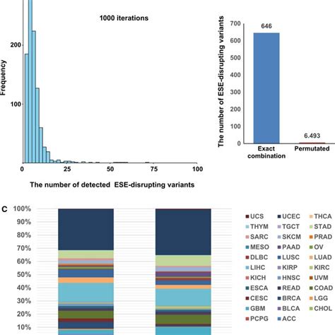 Permutation Test A Distribution Of Number Of Ese‐disrupting Variants