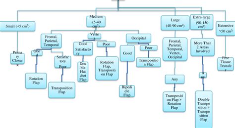 Re Constructive Options For Scalp Defects On The Basis Of Size Download Scientific Diagram