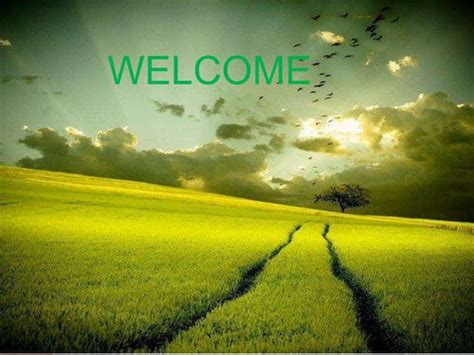 Seed Rate Calculation Pdf