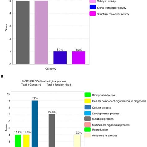 Clusters Identified Using David Functional Annotation Four Clusters