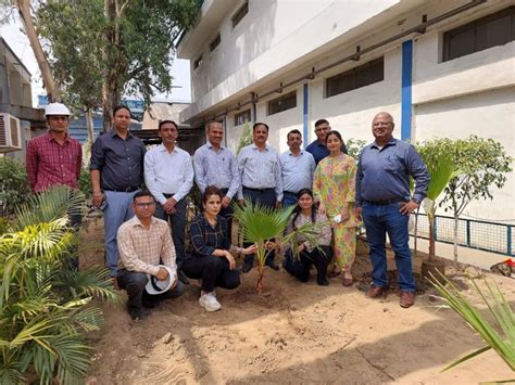 Yash Vardhan Tripathi On Linkedin Celebrated World Environment Day On