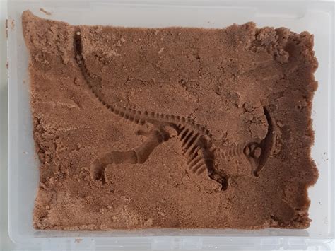 Make A Fossil NUSTEM