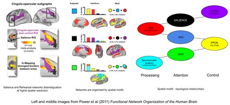 Intrinsic Connectivity Networks Fewer Lacunae