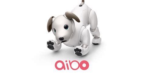 Aibo Aibo First Litter Edition