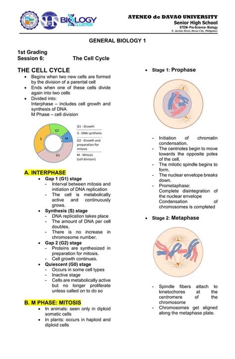 The Cell Cycle Pdf