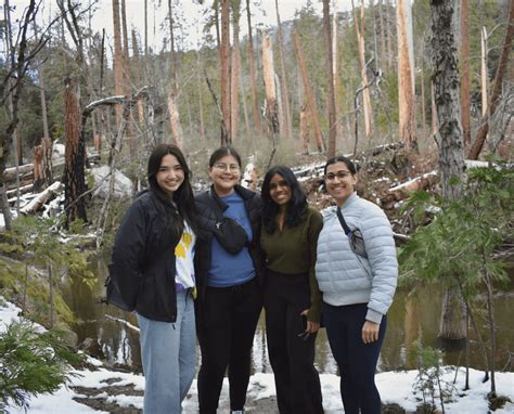 Engineering Solutions At Berkeley