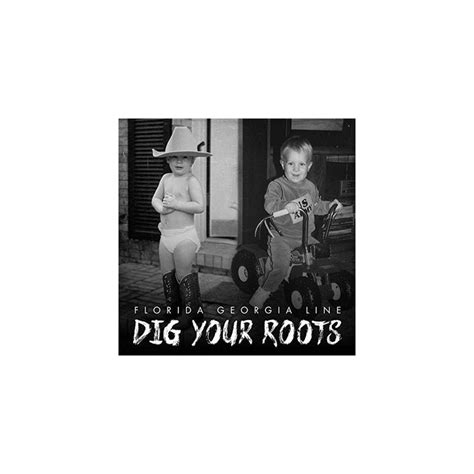 Florida Georgia Line Dig Your Roots 2 Lp Vinyl Country Rap