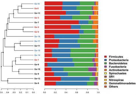 Upgma Phylogenetic Tree Based On Weighted Unifrac Distance Combined