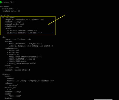Wifi Connect Installation In Raspberry Pi Docker Container Project