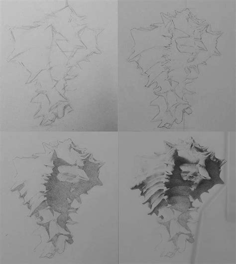The Four Stages Of Classical Drawing