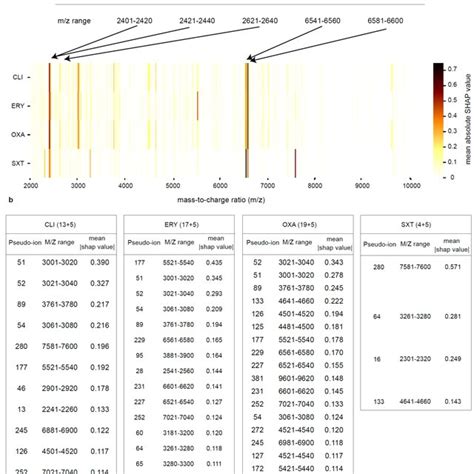 Inspection Of Model Features A Heatmap Of Mean Absolute Shap Value Of Download Scientific