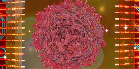 Lydia Becker Institute Of Immunology And Inflammation Research