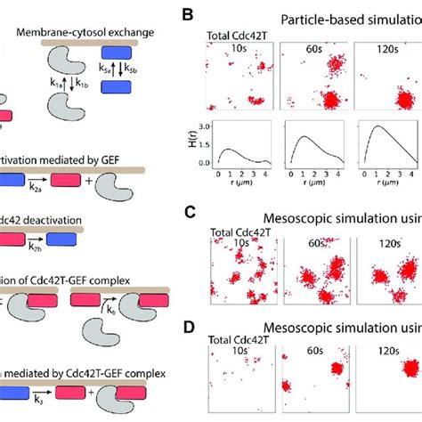3d Particle Based Simulations Recapitulate 2d Spatial Gillespie