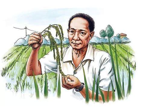 袁隆平：做一粒好种子，滋养民族精神杂交
