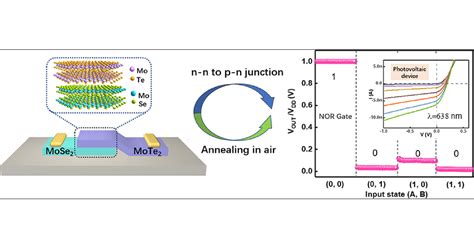 Chemical Dopant Free Controlled Mote2 Mose2 Heterostructure Toward A Self Driven Photodetector