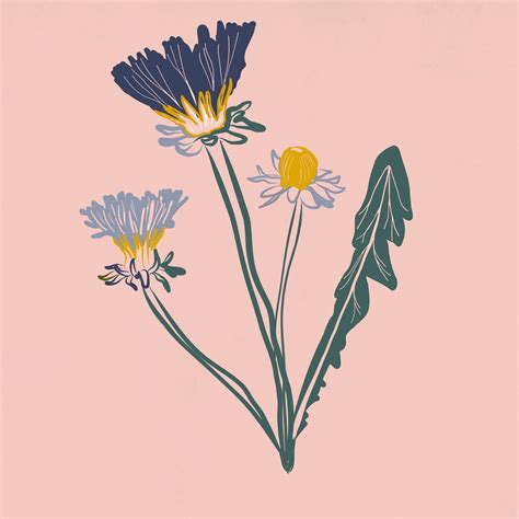 Procreate Color Palette Procreate Palette IPad Pro Bonus Colouring